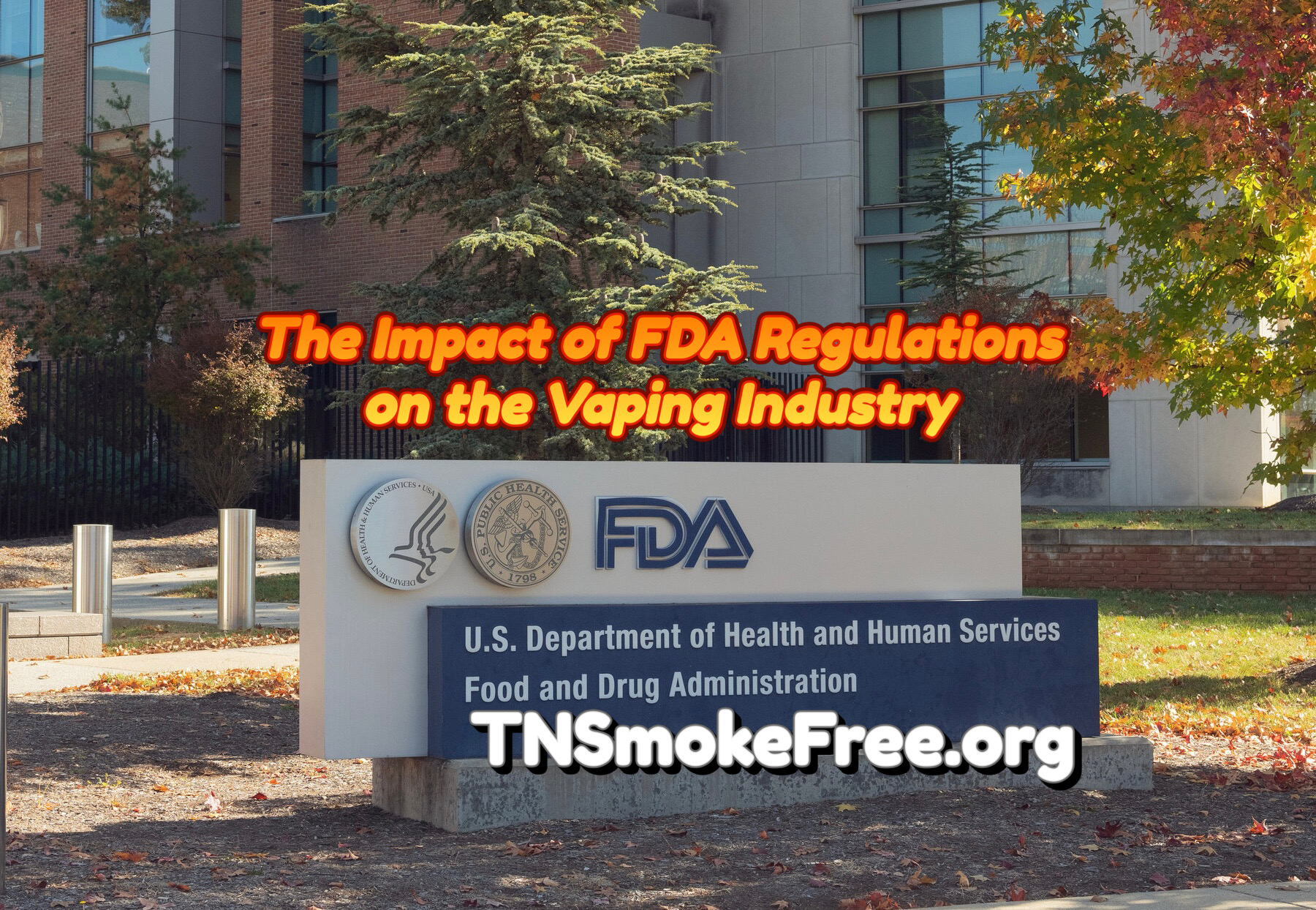 ARTICLE - The Impact of FDA Regulations on the Vaping Industry - TSFA